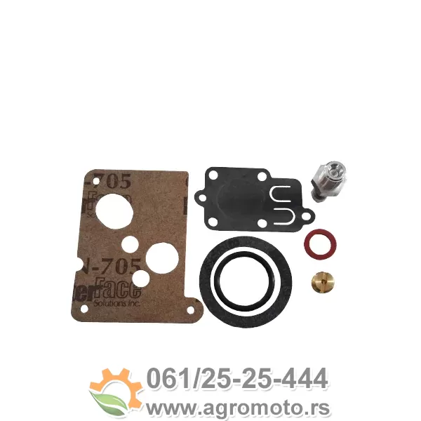 Set za reparaciju karburatora Briggs & Stratton 5KS 494625