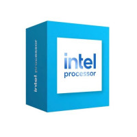 Intel Processor 300