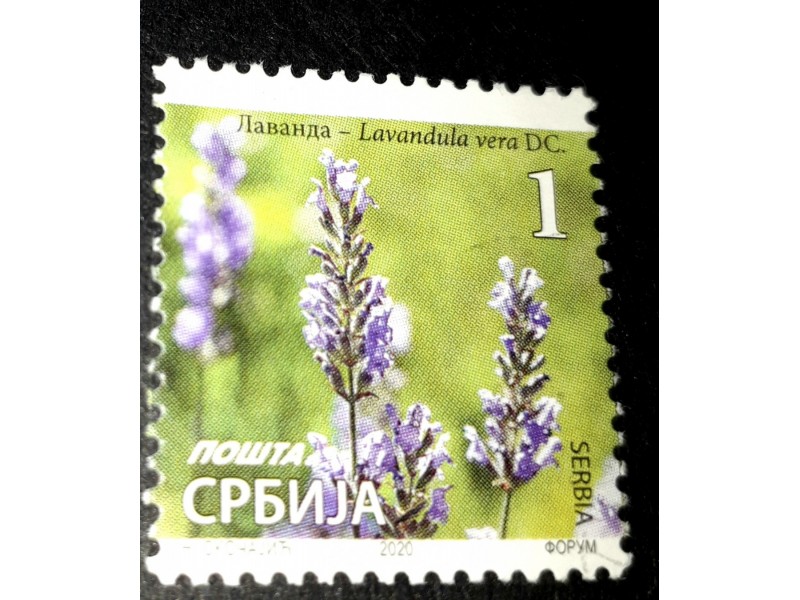 Srbija 2020 flora