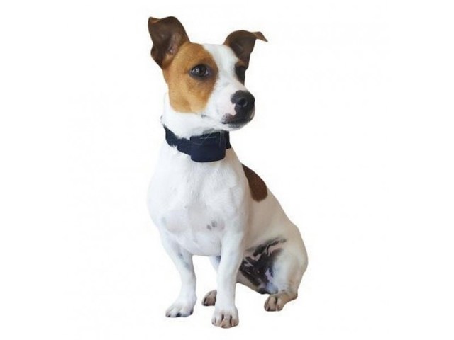 Ogrlica za pse - sistem protiv bezanja / Canifugue FUG1