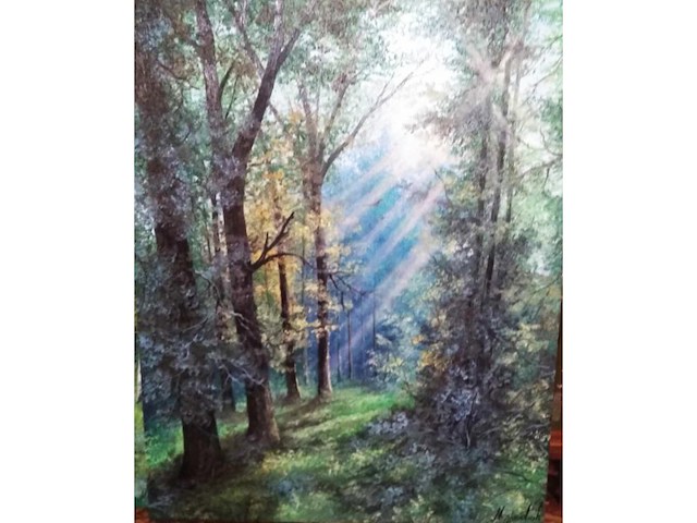 Slika, pejzaž - probijanje sunca, šuma