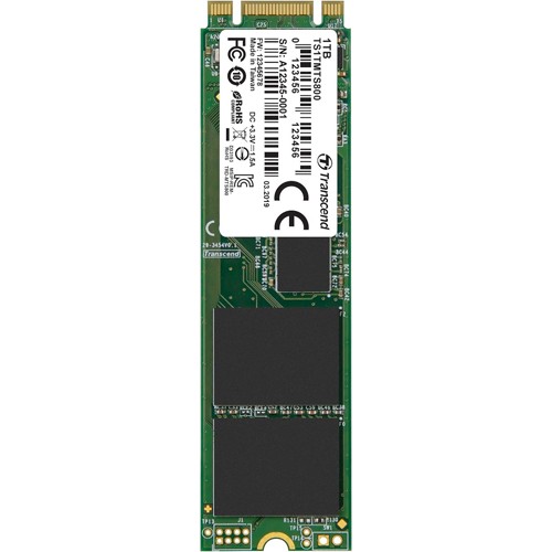 Transcend 1TB 825S SATA M.2 SSD | TS1TMTS825S