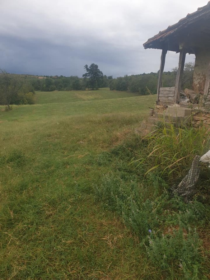 Prodajem seosko domaćinstvo 8km udaljeno od Kladova