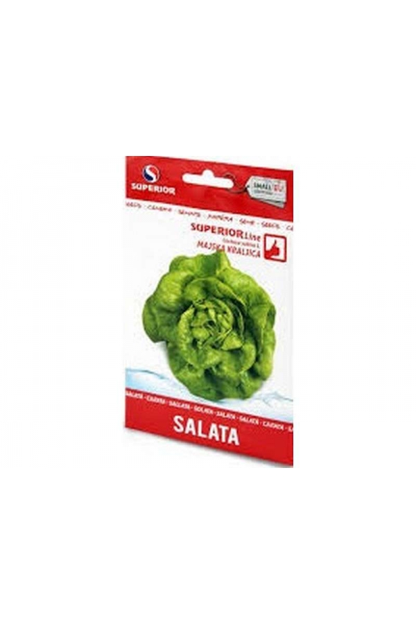 SALATA MAJSKA KRALJICA 3G SUP
Šifra: 587 JM: KOM