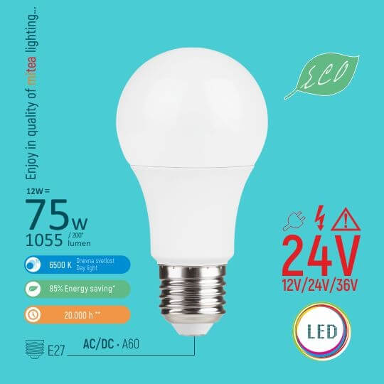 12V/24V/36V 12W A60 6500K LED ECO sijalica AC/DC