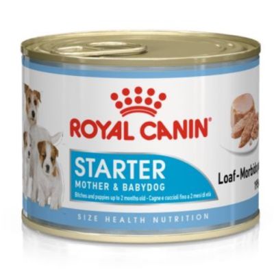 Royal Canin Starter Mousse Dog 195g