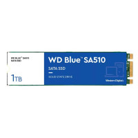 1 TB Western Digital WDS100T3B0B