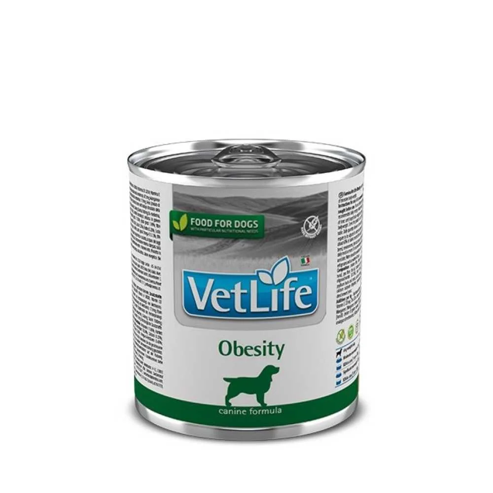 Vet Life veterinarska dijeta dog OBESITY 300g