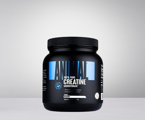 ANIMAL CREATINE