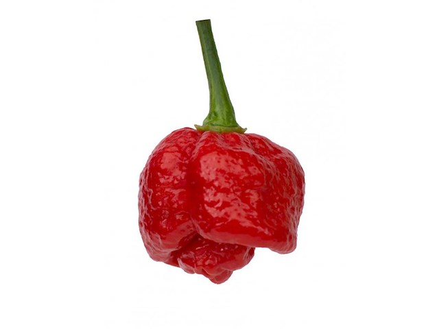 Trinidad moruga scorpion (seme)