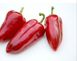 Red Pimenta chili (seme)