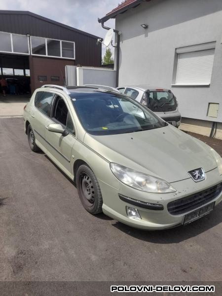 Peugeot 407 2.0 HDI 100KW 136KS Kompletan Auto U Delovima