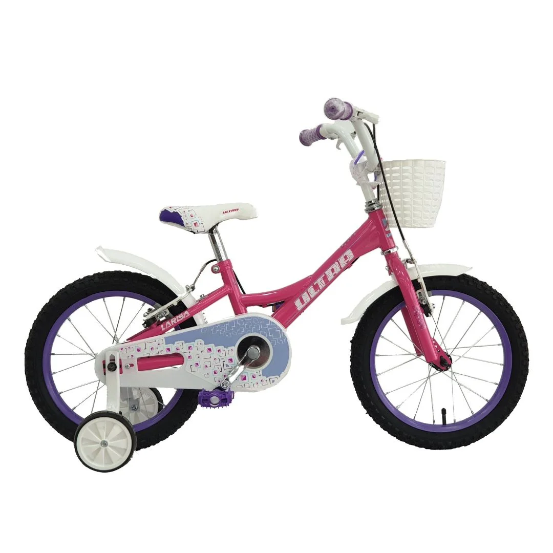 Bicikl dečiji Ultra Larisa VB 16″ pink
Bicikl dečiji Ultra Larisa VB 16″ pink