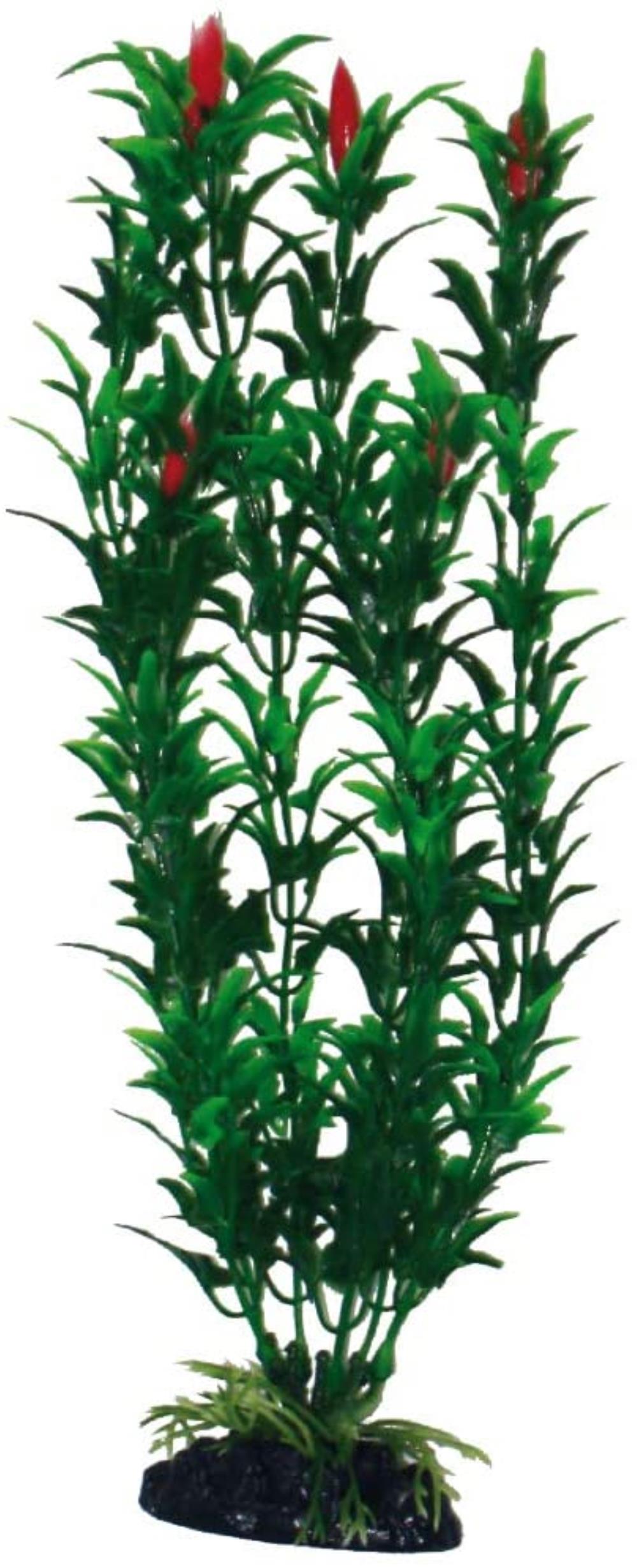 Dekoracija biljke egerija SM
