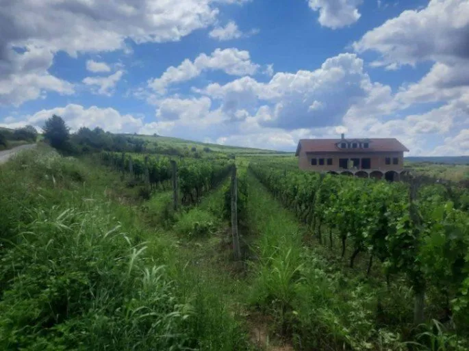 Prodaja, zemljište, 29539m2, Novi Sad