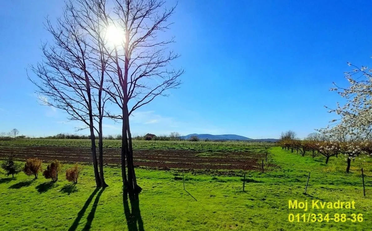 Prodaja, zemljište, 237m2, Mladenovac, Beograd