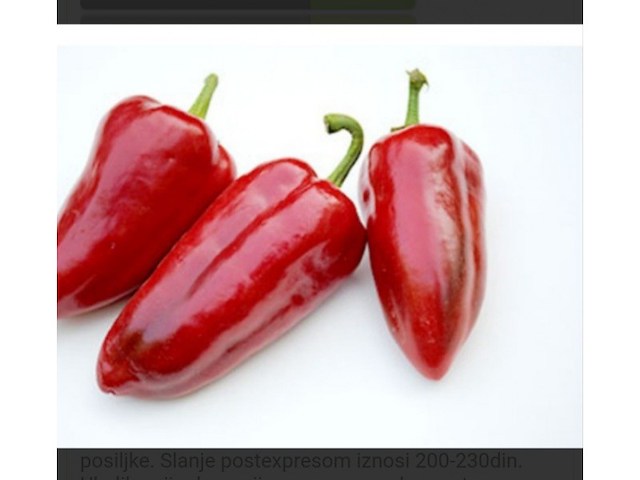 Red Pimenta chili (seme)