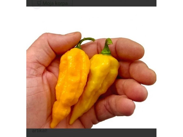 Fatali Yellow chili (seme)