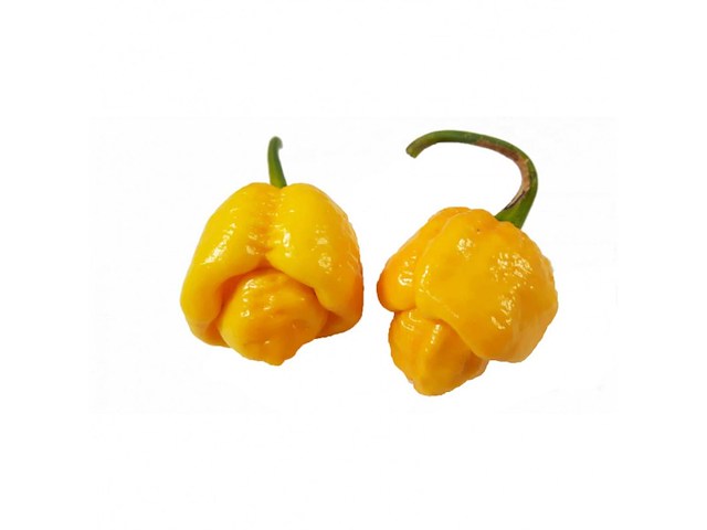 Trinidad moruga scorpion yellow (seme)