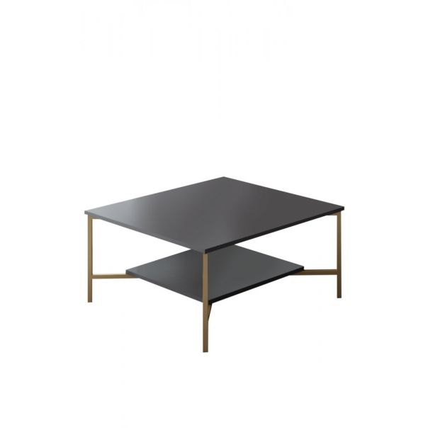 HANAH HOME Sto za dnevnu sobu Gold Line Anthracite Black