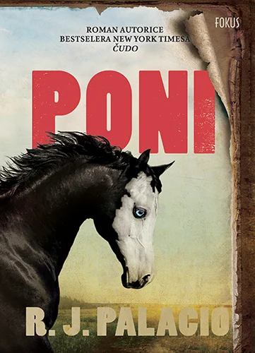 Poni