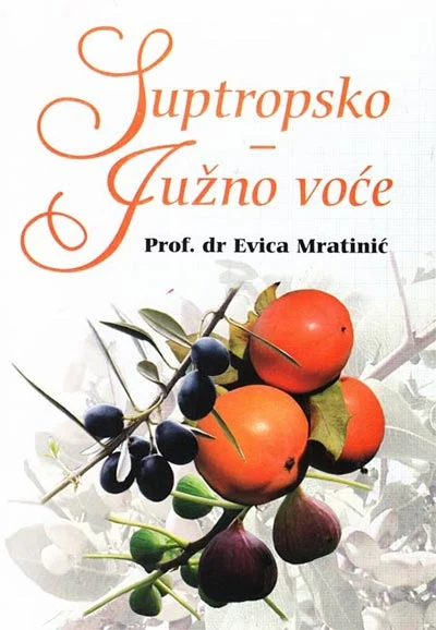 Suptropsko - južno voće