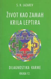 Dijagnostika karme: život kao zamah krila leptira - knjiga 12