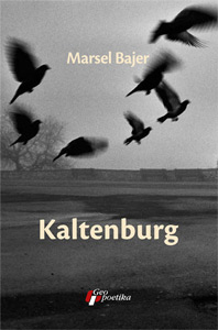 Kaltenburg