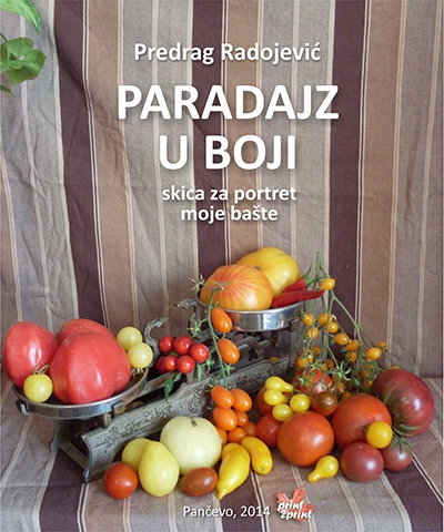 Paradajz u boji - skica za portret moje bašte