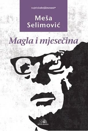 Magla i mjesečina