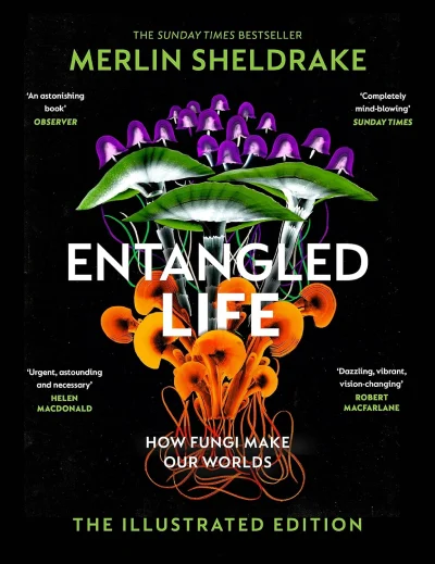 Entangled Life: How Fungi Make Our Worlds