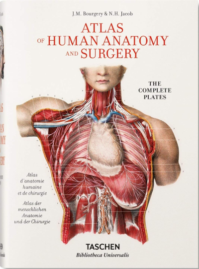 Atlas of Human Anatomy and Surgery