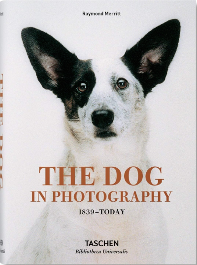 The Dog in Photography 1839–Today