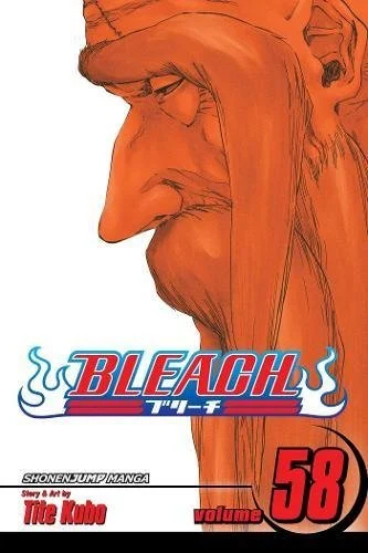 Bleach, Vol. 58: The Fire