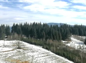 Prodaja Plac - Ivanjica, Dajići