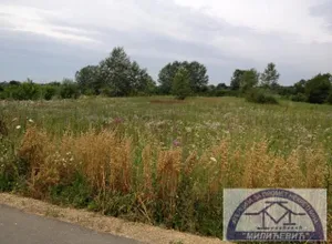 Prodaja Građevinsko zemljište - Batočina, Botunje