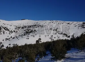 Prodaja Građevinsko zemljište - Zlatibor