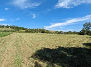 Prodaja Građevinsko zemljište - Inđija, Čortanovci