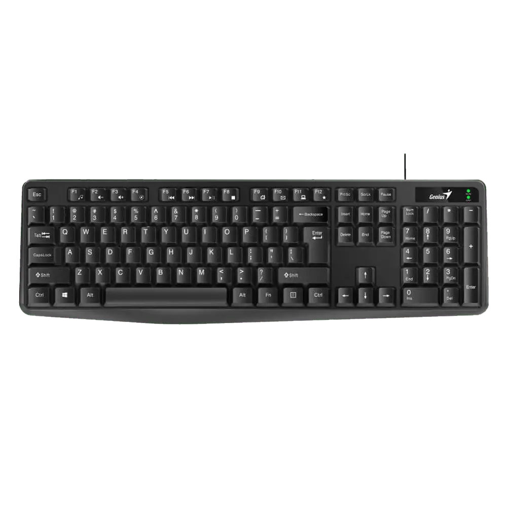 GENIUS Tastatura KB-117 USB YU crna