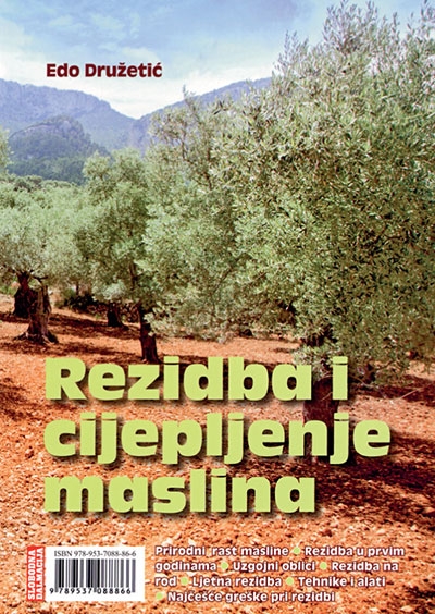 Rezidba i cijepljenje maslina