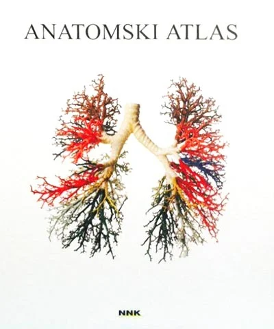 Anatomski atlas