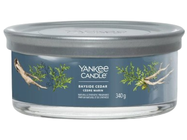 Sveća - Yankee Candle, Signature Multiwick Tumbler, Bayside Cedar