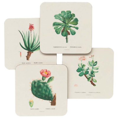 Podmetač za čaše set 4 - Botanical Cacti