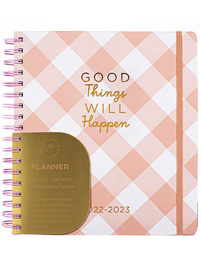 Agenda - SP Good Things Will Happen 16 Month