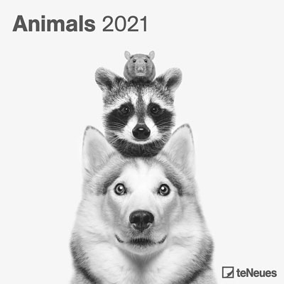 Kalendar - Animals 2021