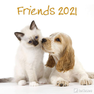 Kalendar - Friends 2021