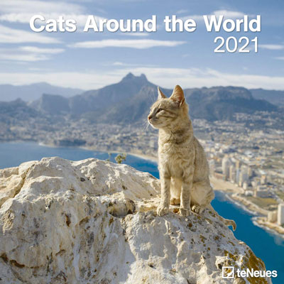 Kalendar - Cats around the World 2021