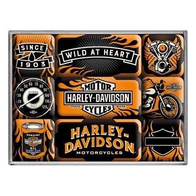 Set magneta, Harley-Davidson Wild