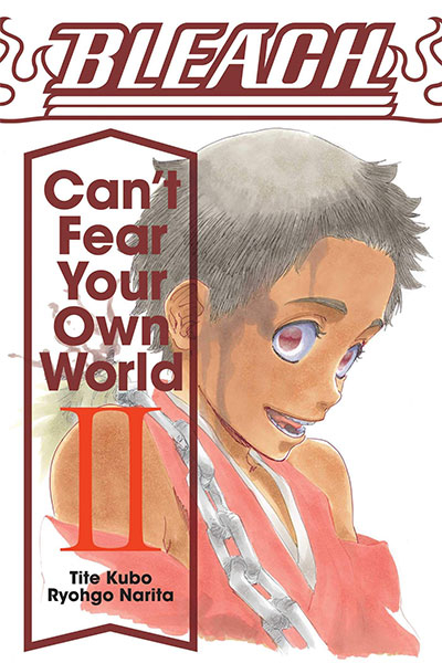 Bleach: Can’t Fear Your Own World, Vol. 2