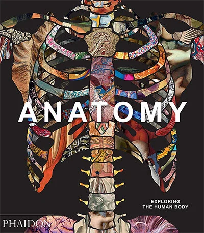 Anatomy: Exploring The Human Body